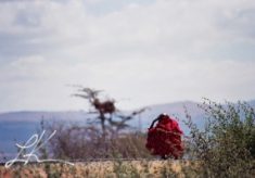 Laura K. Kerr, PhD - Writer • Scholar • Speaker